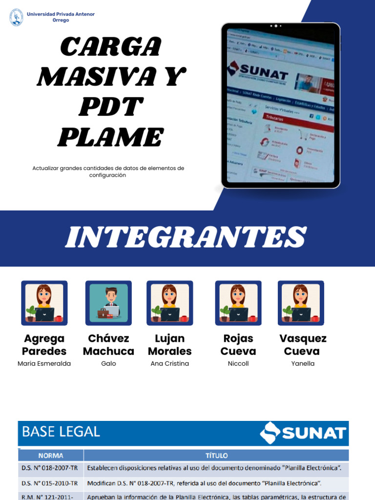 Carga Masiva y Pdts Plame | PDF
