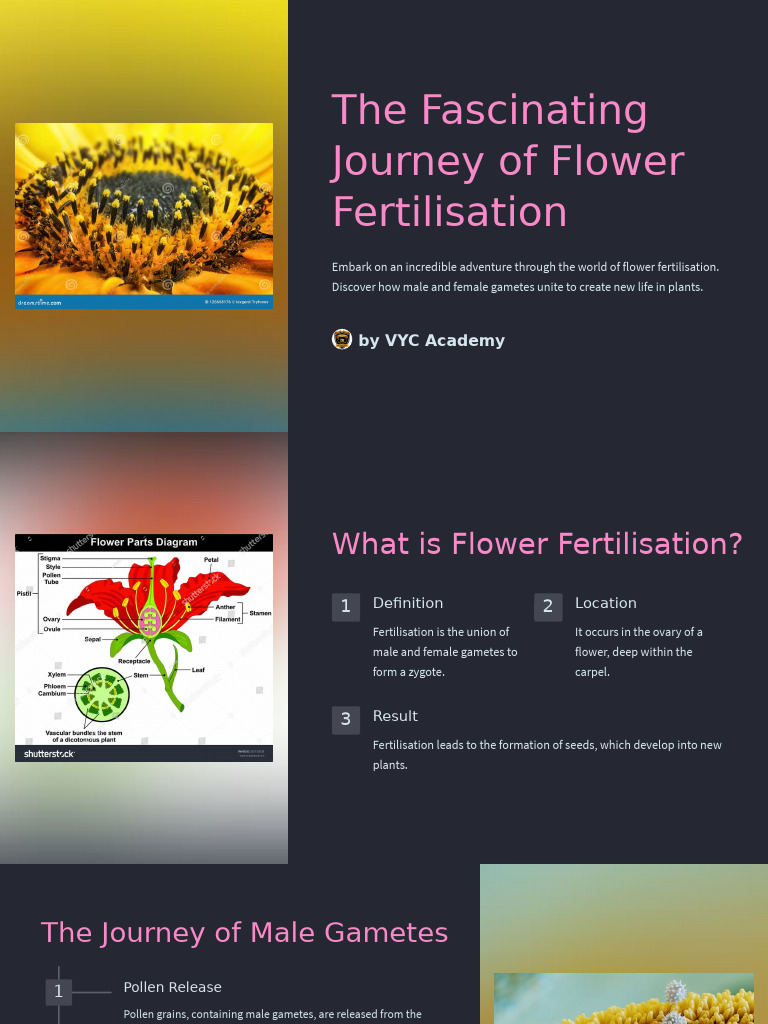 The Fascinating Journey of Flower Fertilisation | PDF | Fertilisation ...