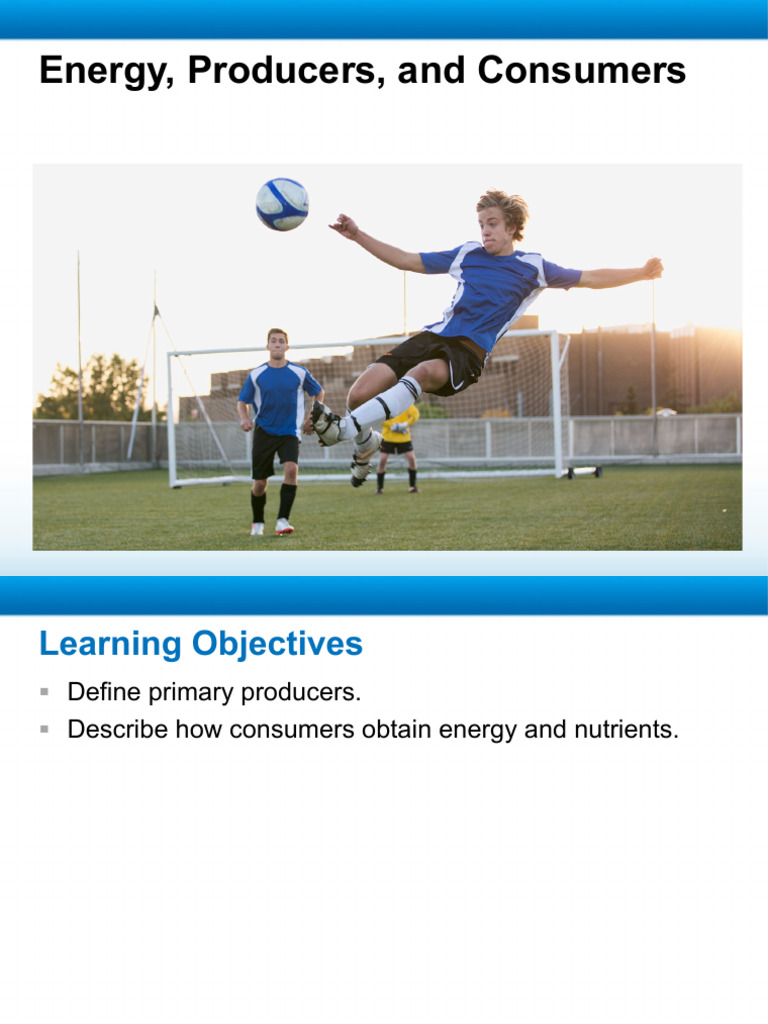 C4L1 - Energy, Producers and Consumers Presentation | PDF | Wellness ...