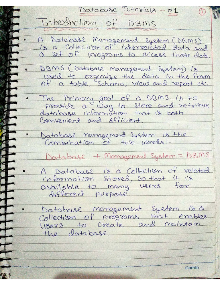 Dbms Notes | PDF