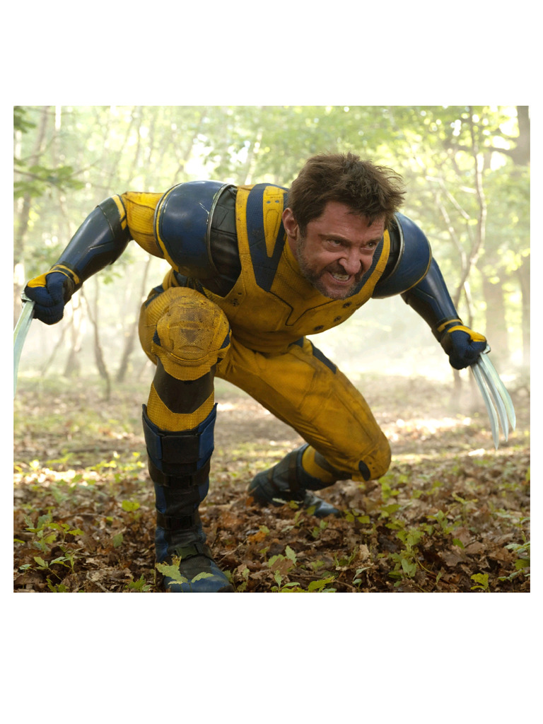 Wolverine 2 | PDF
