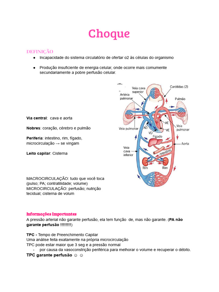 Entendendo o Choque: Fisiologia e Tipos | PDF | Choque (circulatório ...