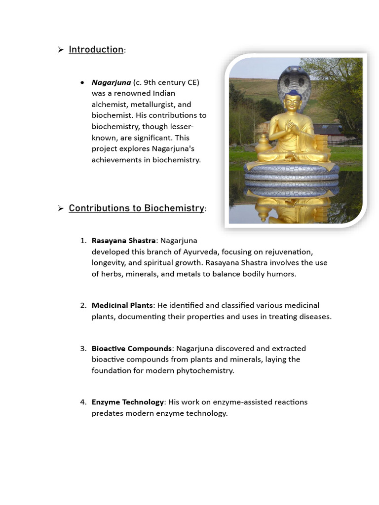 Nagarjuna Biochemist | PDF | Alchemy | Ayurveda