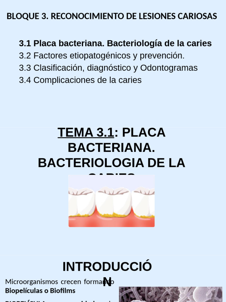 Placa Bacteriana | PDF | Biopelícula | Las bacterias