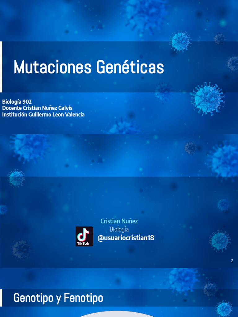 Mutaciones Genéticas 9 | PDF | Gene | Mutación