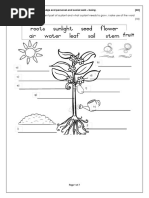 Grade 1 CAPS Life Skills Assesment Term 4 | PDF