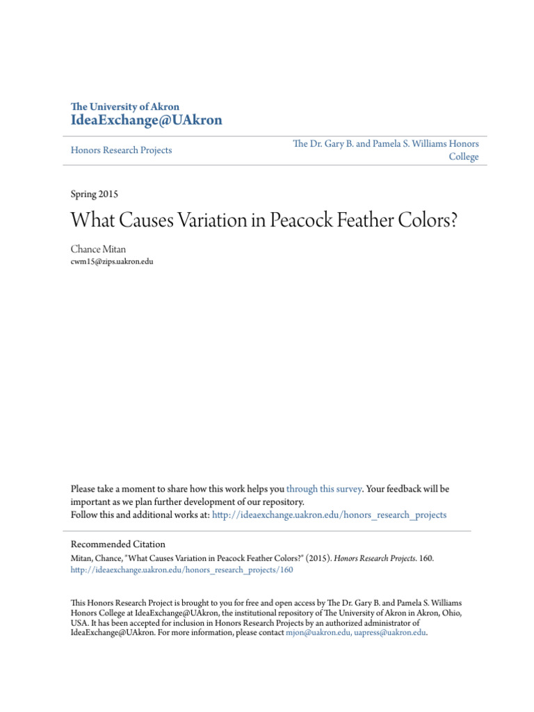 What Causes Variation in Peacock Feather Colors | PDF | Peafowl | Color