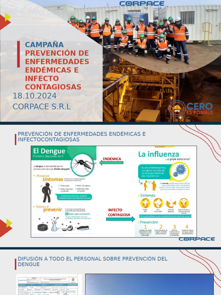 Campaña Prevención del Dengue (1) | PDF