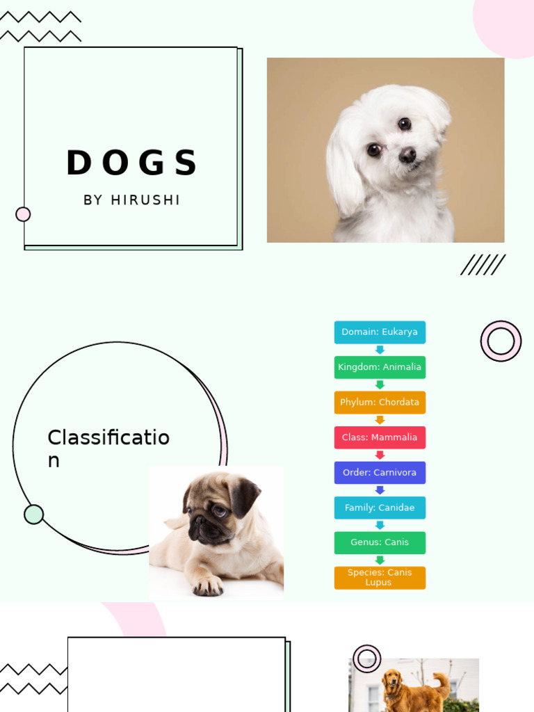 Dogs | PDF | Classics