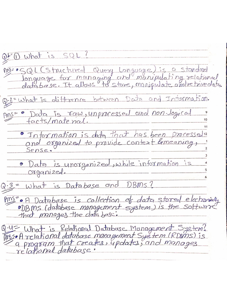 SQL Assignment 3.1 | PDF