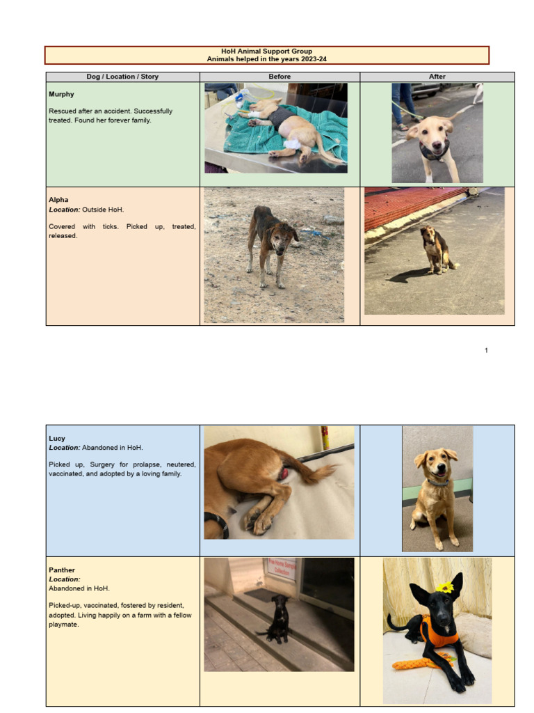 HoH Animal Support Group 2023-24 | PDF