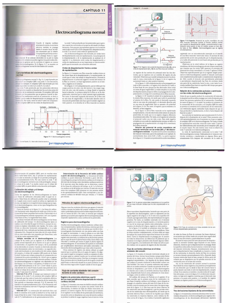 CAPITULOS DE LEYDI | PDF