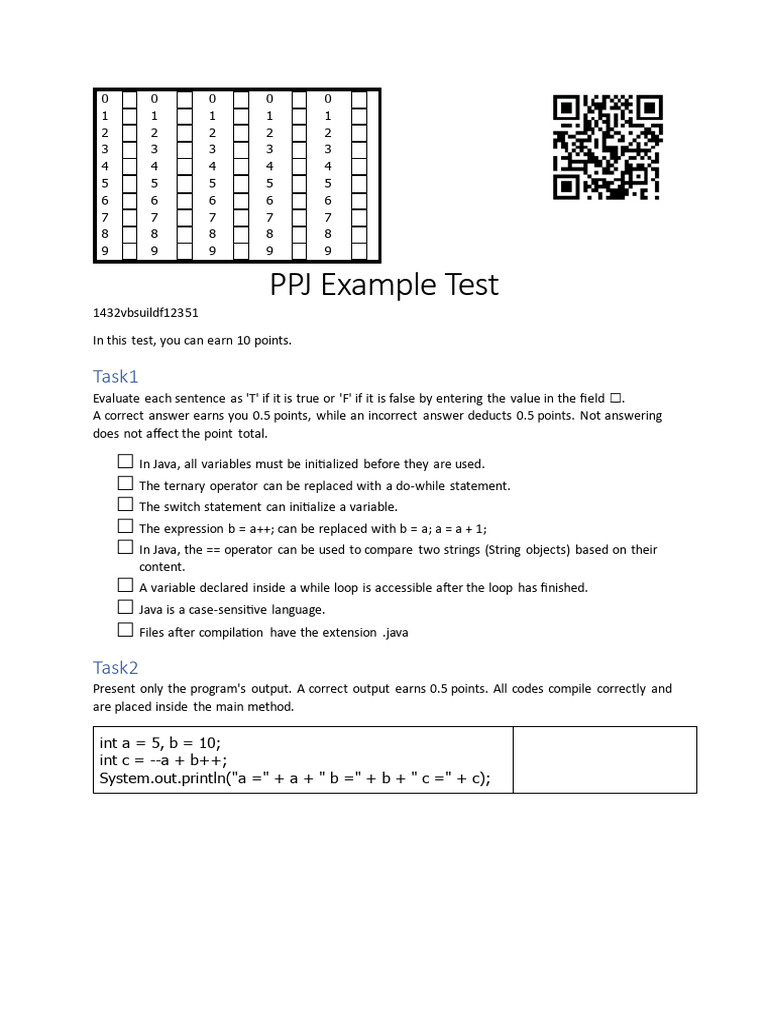 PPJ Test Example ENG v1.2 | PDF | Programming Paradigms | Computer Science