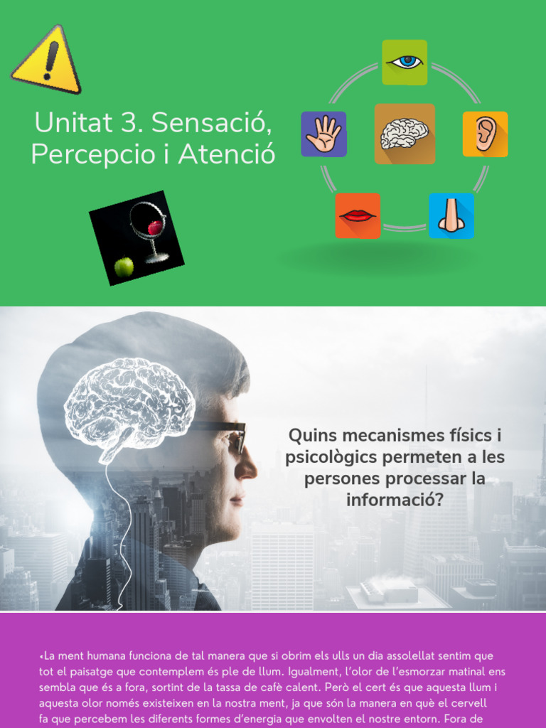 Unitat 3. Sensació, Percepcio I Atenció | PDF