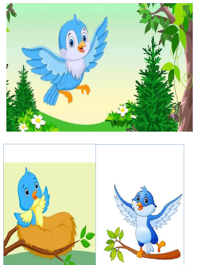 Pajarito Azul JPG | PDF