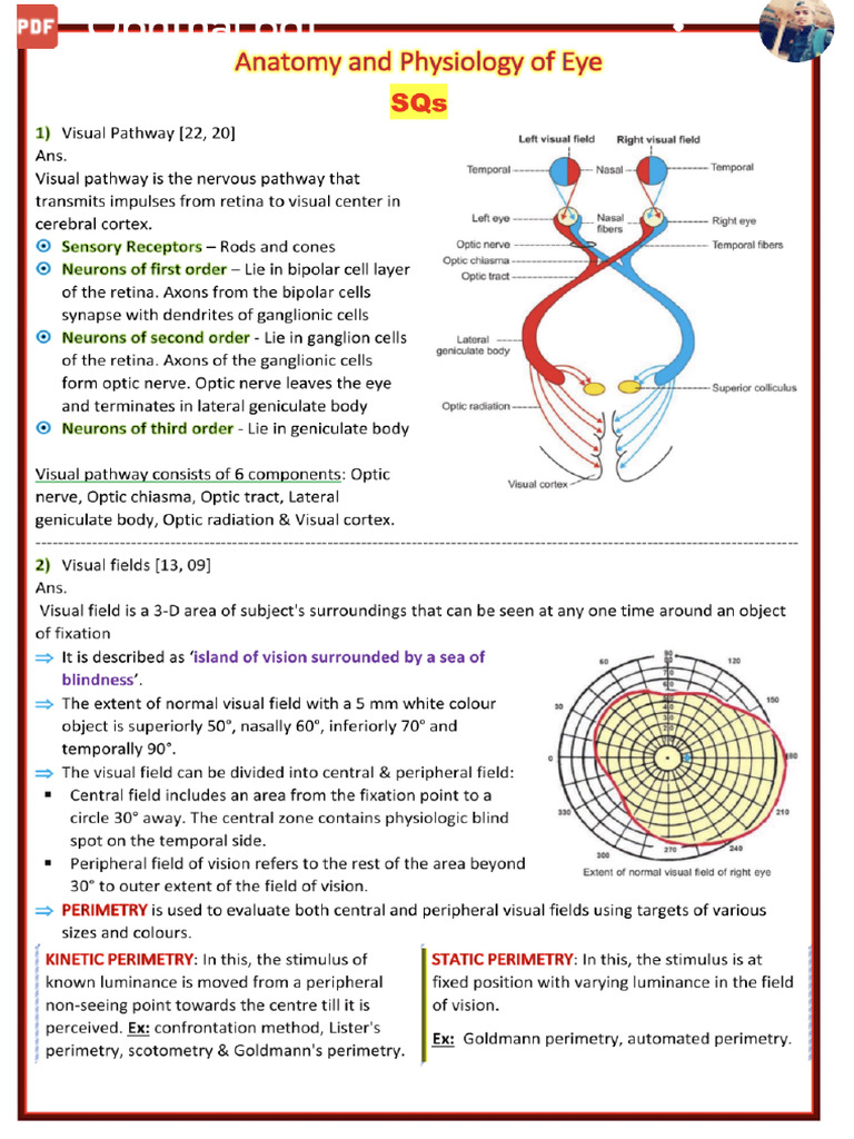 Eye | PDF
