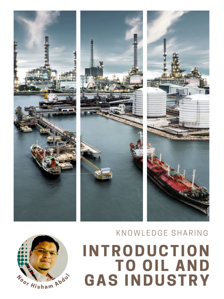Overview of Oil and Gas Industry | PDF | Oil Well | Petroleum