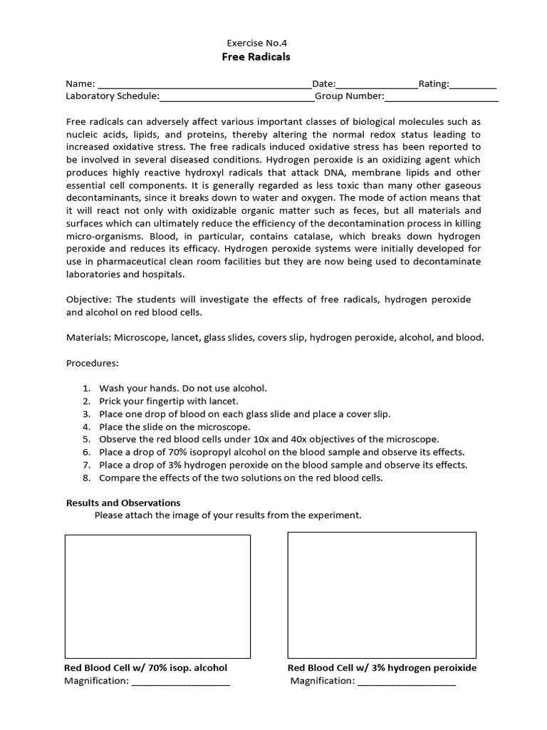 Exercise 4 Free Radicals | PDF | Hydrogen Peroxide | Radical (Chemistry)