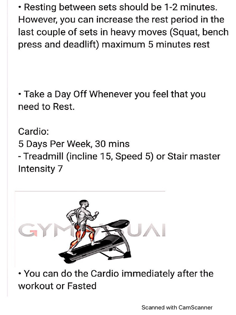 Important Notes + Stomach Workout | PDF