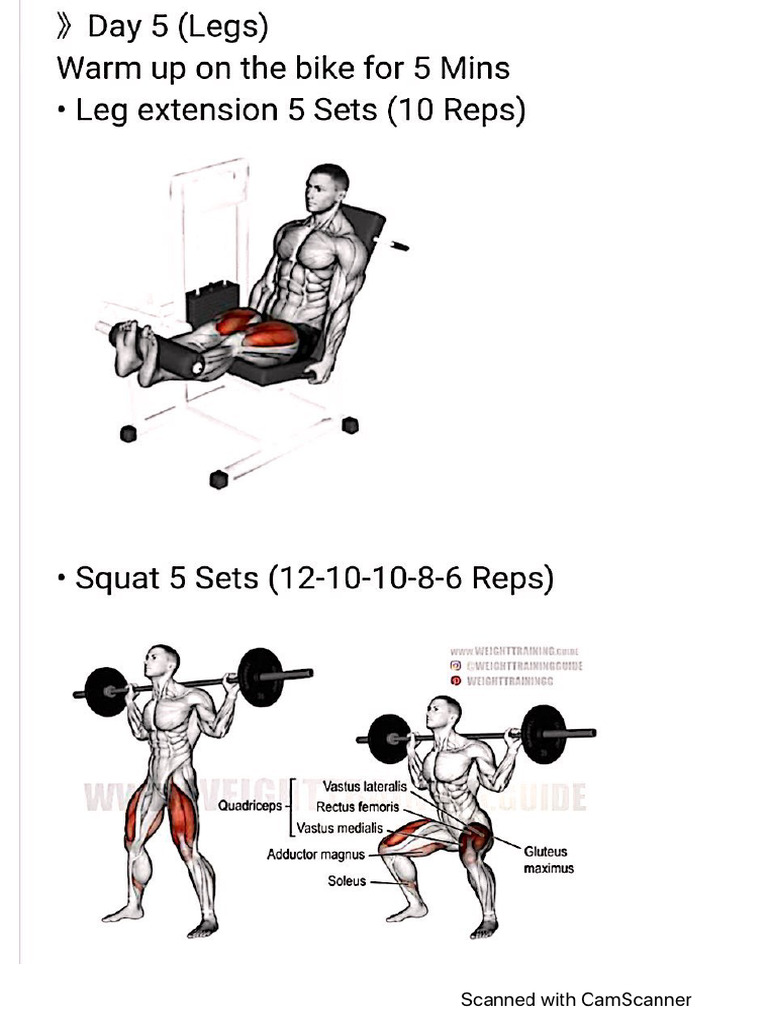 Legs Workout | PDF