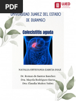Anatomía Del Colédoco Pietrafita | PDF | Vesícula biliar ...