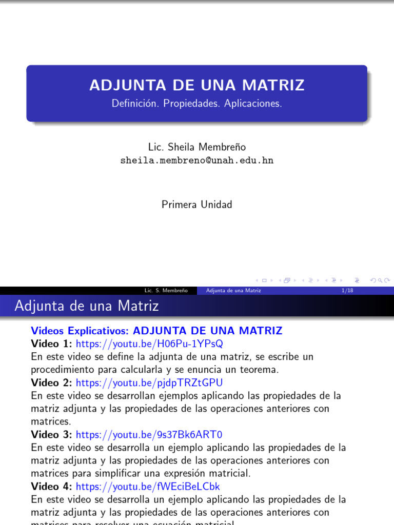 Adjunta de Matrices: Guía Completa | PDF | Matriz (Matemáticas) | Álgebra