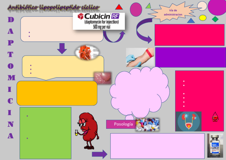 Cubicin: Indicaciones y Dosis en Infecciones | PDF | Infección | Sodio
