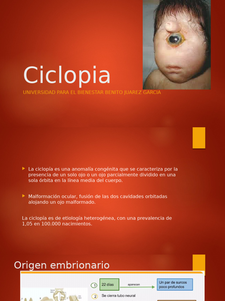Ciclopia | PDF