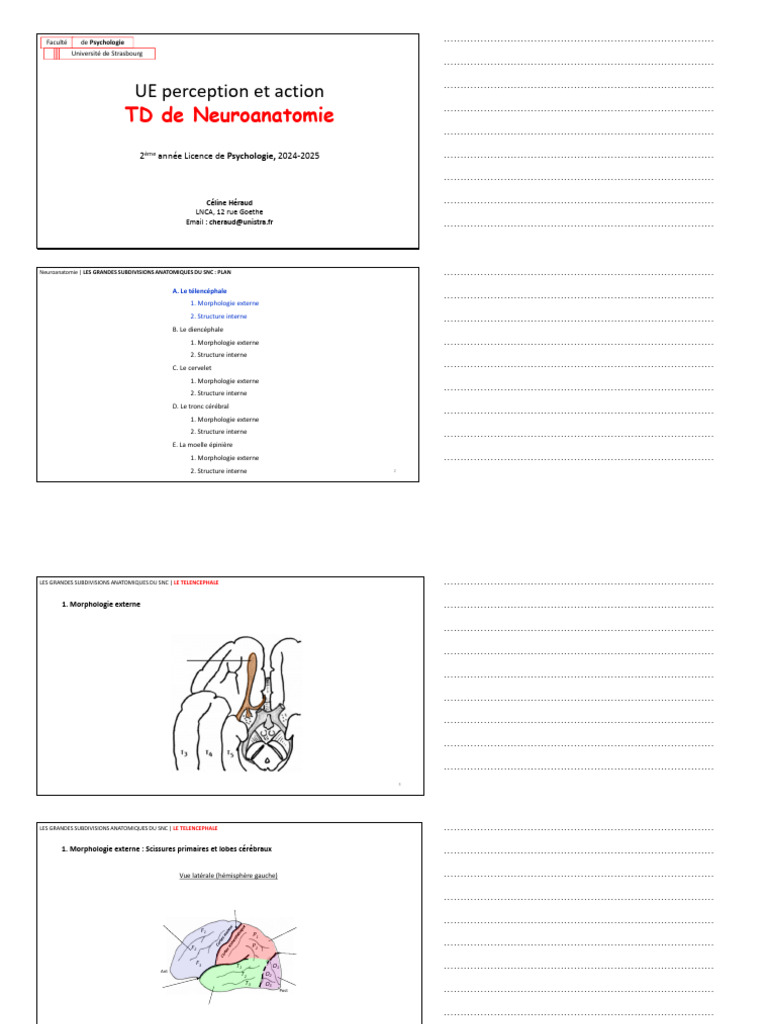 TD1 Étudiants Moodle | PDF