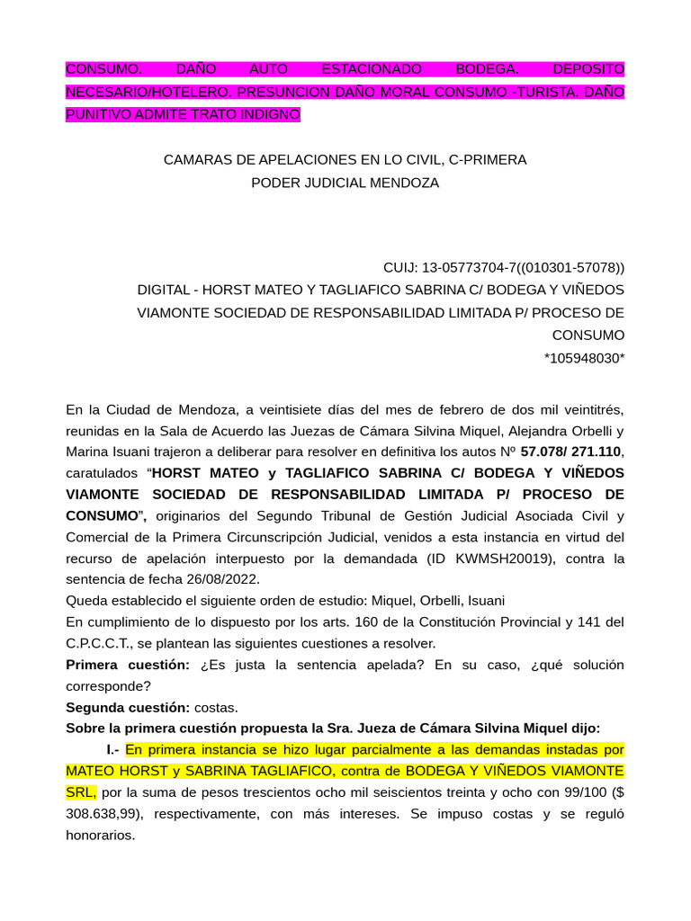 Consumo. Daño Auto Bodega. Daño Moral Presume Turista. Deposito ...