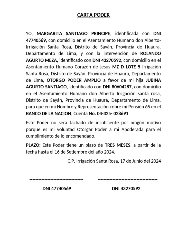 Carta Poder 17 - 06 | PDF
