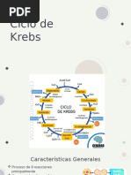Esquema Ciclo de Krebs | PDF
