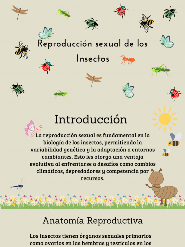 Reproducción Sexual de Insectos | PDF