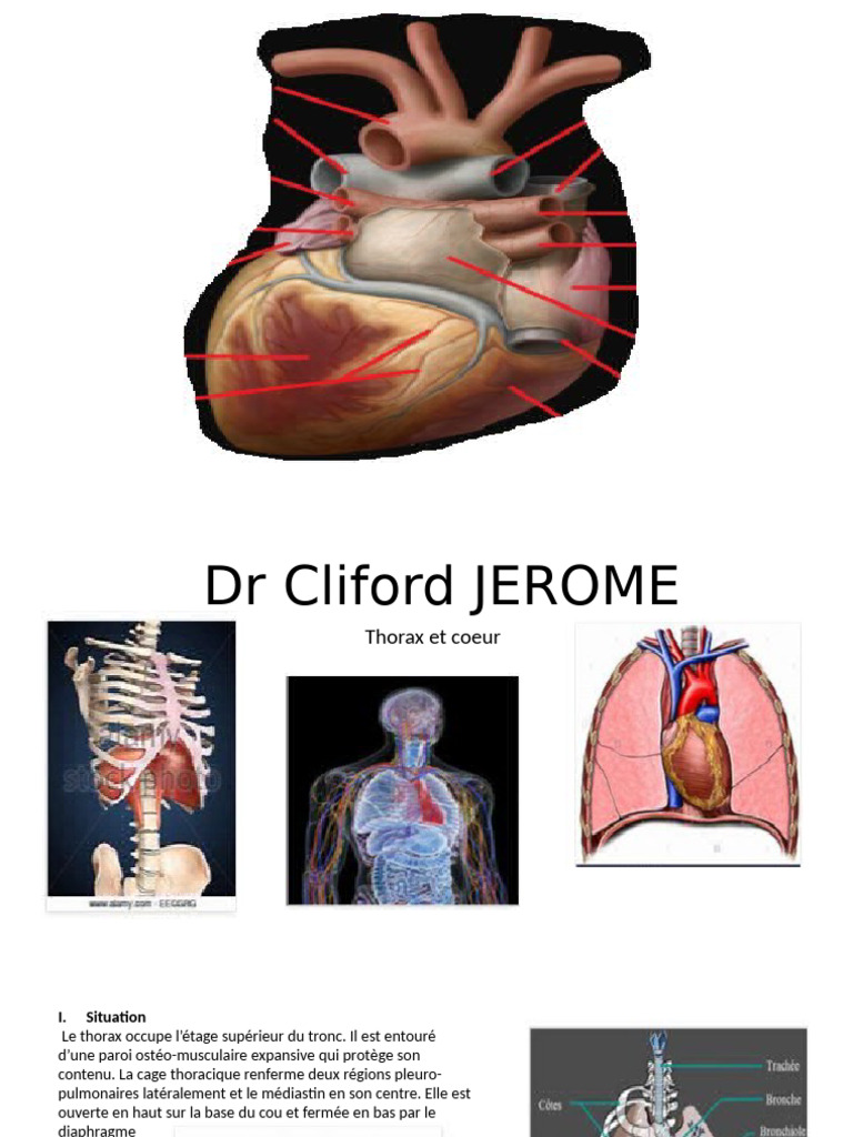 Appareil Cardio Partie 1 | PDF | Cœur | Atrium (anatomie)