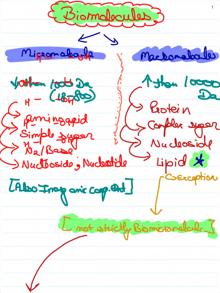Bio Molecule | PDF