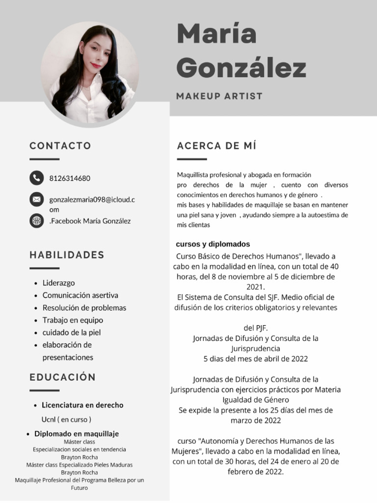 Currículum Vitae CV de Contabilidad Simple Gris | PDF