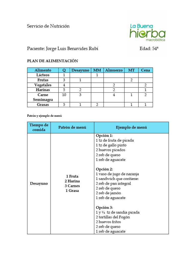 Plan de Alimentación Jorge Luis Benavides Rubí | PDF | Comida y bebida ...