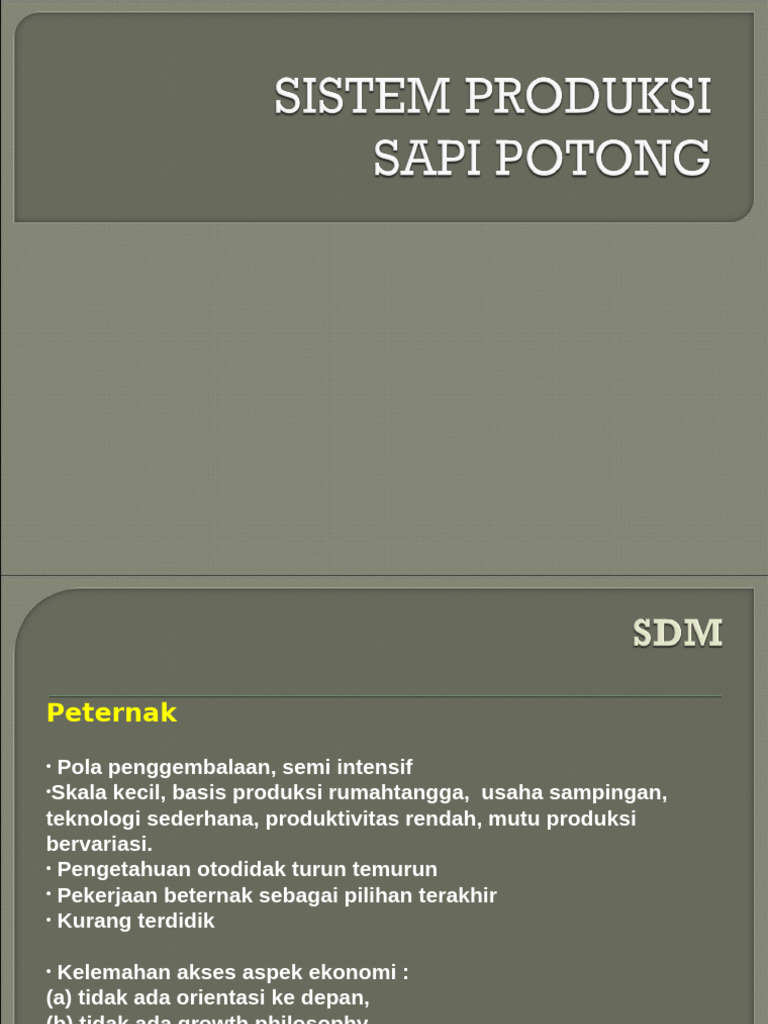 8 Sapi Potong PPT | PDF