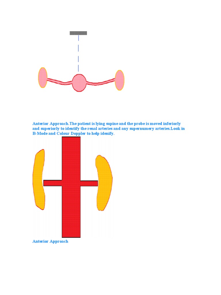 Renal Artery Doppler Ns Pdf Kidney Aorta