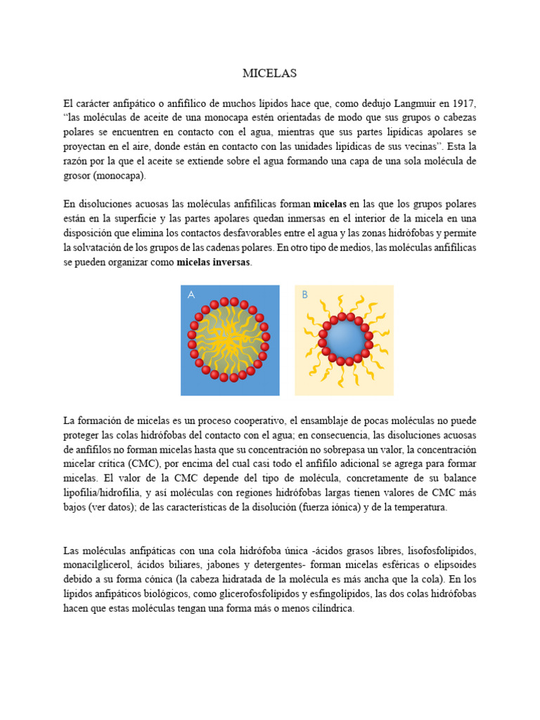 MICELAS y CMC | PDF | Ciencia y matemáticas