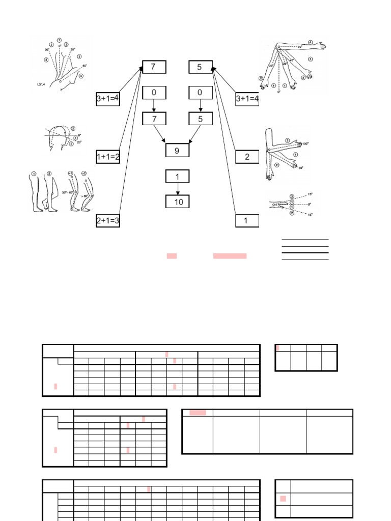 WORKSHEET REBA Hasil | PDF | Anatomical Terms Of Motion | Musculoskeletal System
