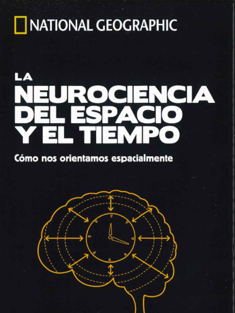 La Neurociencia Del Espacio y Del Tiempo | PDF | Cerebro | Neurona