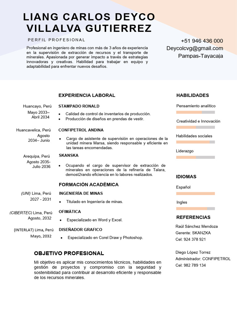 298 Curriculum Vitae Bonito | PDF | Business | Ingeniería