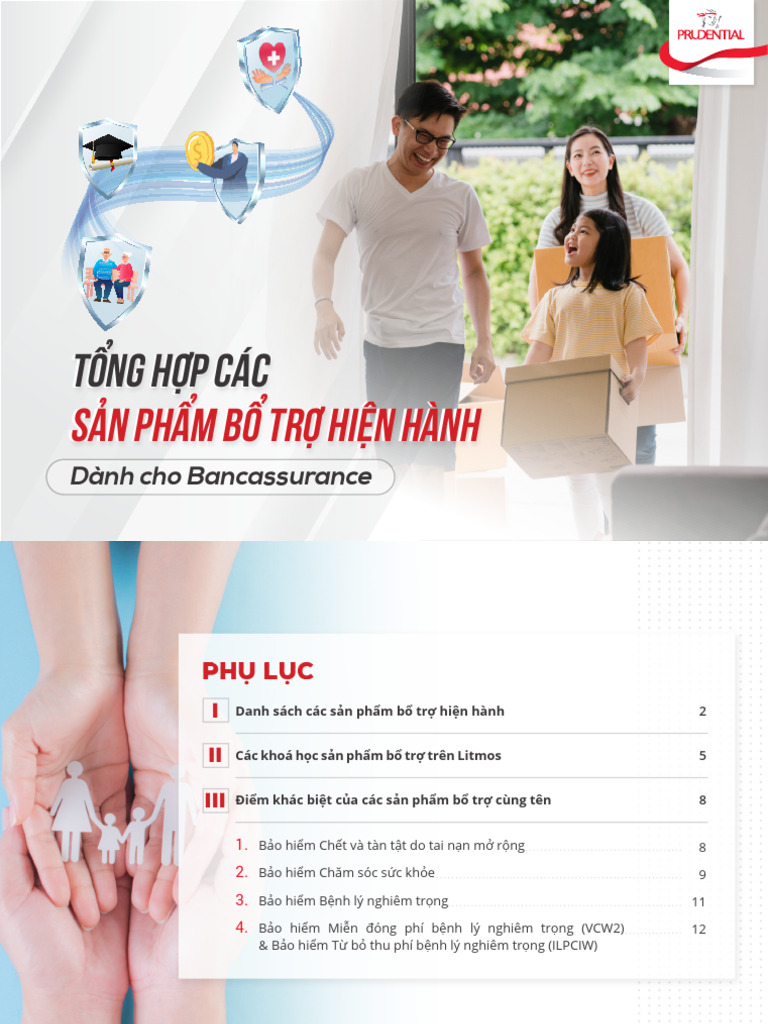 Tong Hop San Pham Bo Tro Hien Hanh - Bancassurance - T202109223302 | PDF