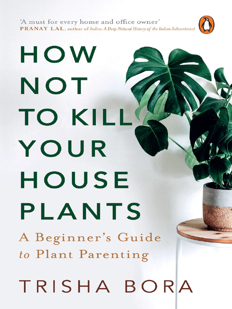 How Not To Kill Your Houseplants A Beginners Guide To Plant Parenting ...