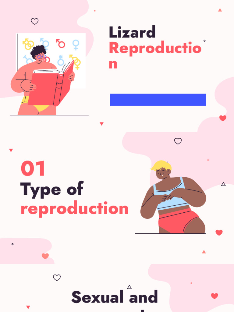 Lizard Reproduction | PDF | Reproduction | Sexual Reproduction
