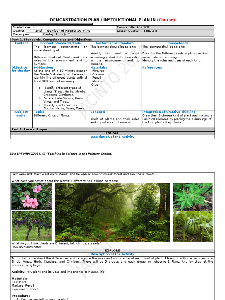 CANTAY 5es LP SCI (Without Refferences) | PDF | Plants | Botany