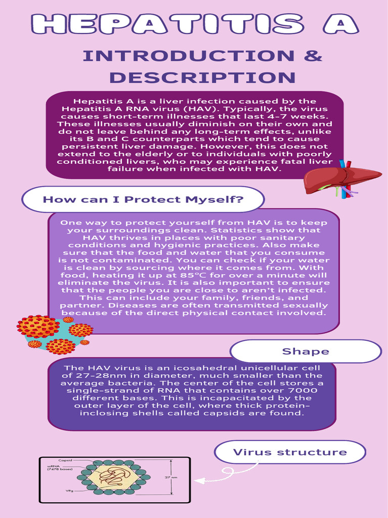 Virus Classification Infographic in Purple Flat Graphic Style | PDF ...