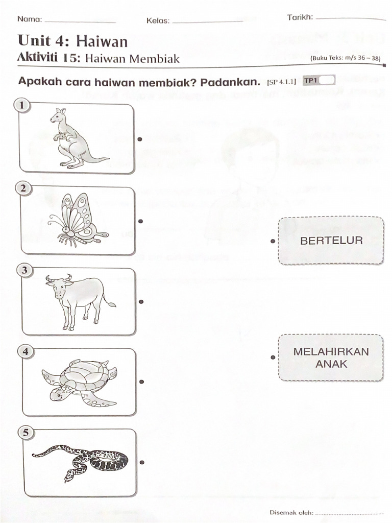 SN DR 2 Bab 4: Haiwan | PDF