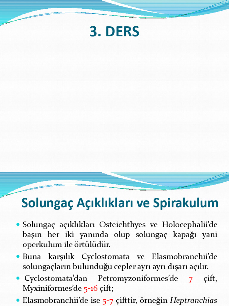 Balik Bä°yolojä°sä° - 3.ders | PDF